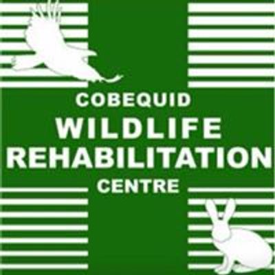 Cobequid Wildlifes Endless Summer Market at the Inn on Prince at 437 ...