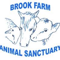Open day September 2024 | BFAS - Brook Farm Animal Sanctuary ...