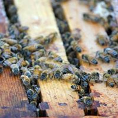 National Mead Day at Hierophant Green Bluff at Hierophant Meadery Green ...