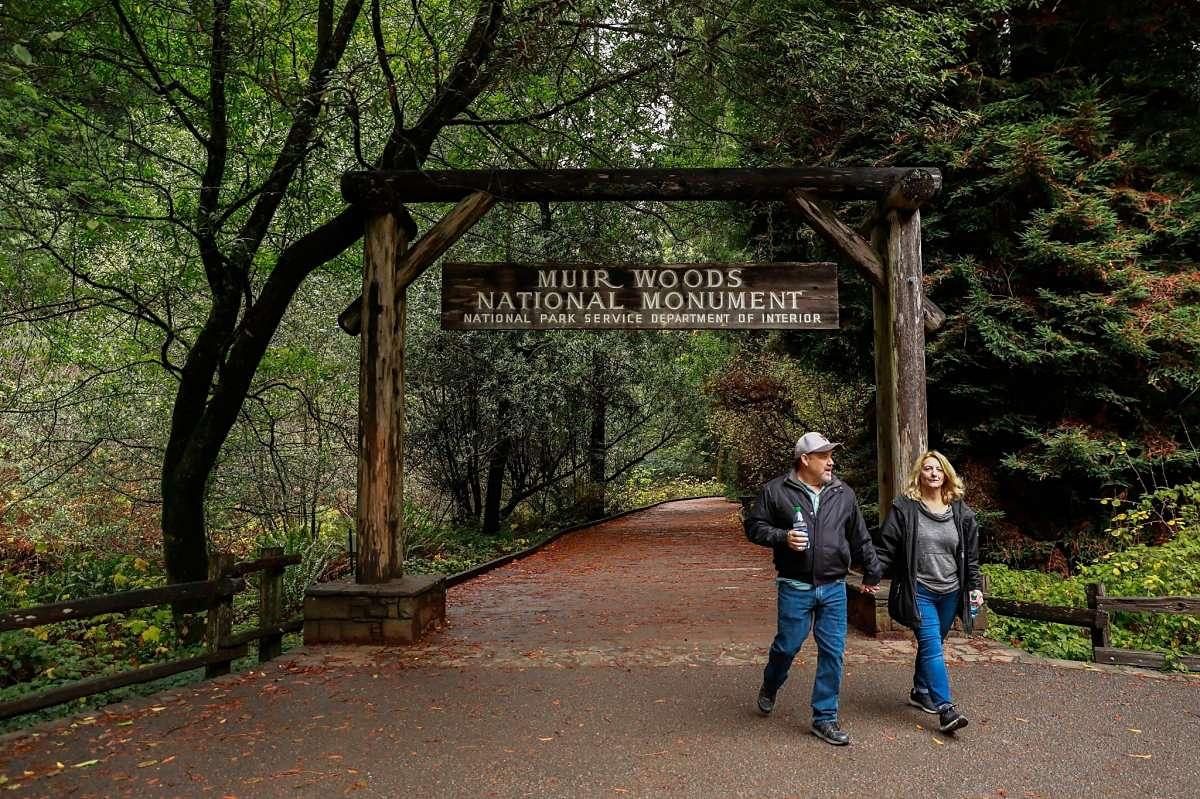 Muir Wood and Sausalito tour including a return by ferrry boat at 333 ...