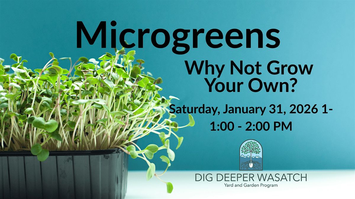 Dig Deeper Wasatch Series: Grow Microgreens at Home! at Wheeler ...