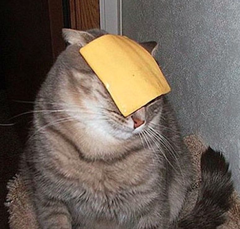 Brix Factory & Ollies Cheese Shop - Beer and Cheese Pairing Flight at ...