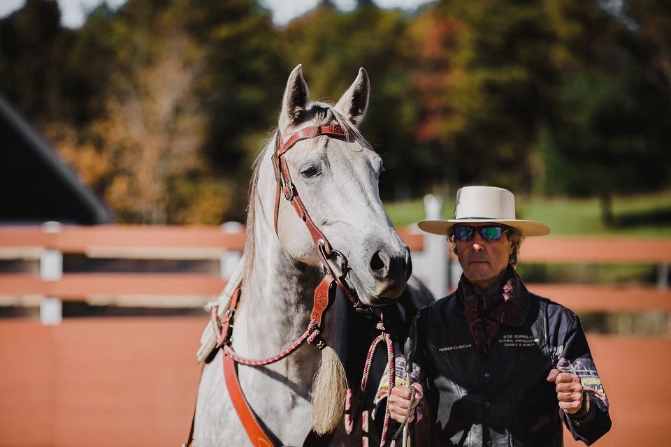 Bob Burrelli Natural Horsemanship Clinic at Double B Ranch, Plymouth on ...
