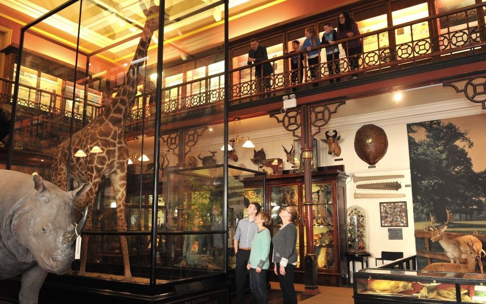 Amazing Animals Activities at Ipswich Museum on 23rd August, 2022