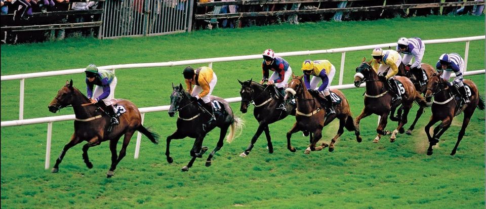 Jubilee Charity Horse Racing Night at Pinhoe Jubilee Club, Exeter on ...