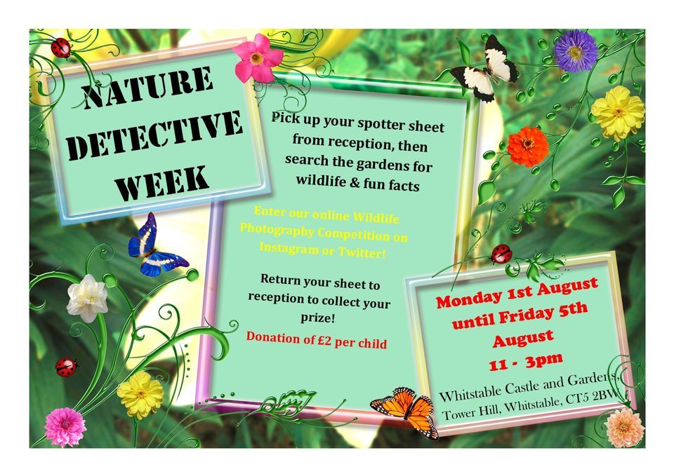 Nature Detective Week @ Whitstable Castle at Whitstable Castle ...