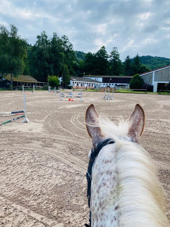 Reitturnier am 13 u.14.05.23 bis Kl.L mit WBO und JFP | Reit und ...