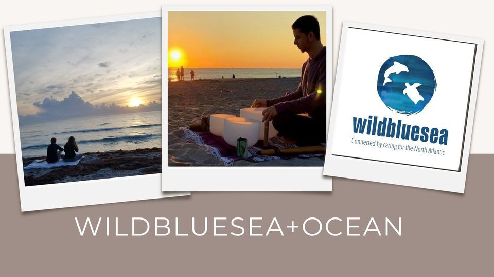 the Blue Mind Experience | Jupiter | March 15, 2023