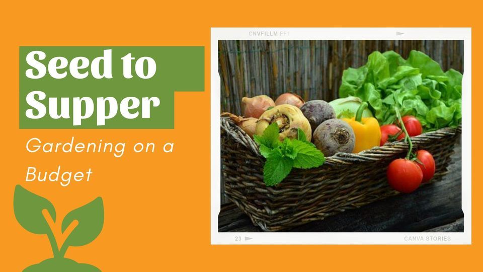 Seed to Supper: Gardening on a Budget | Newburgh Armory Unity Center | May 21, 2022