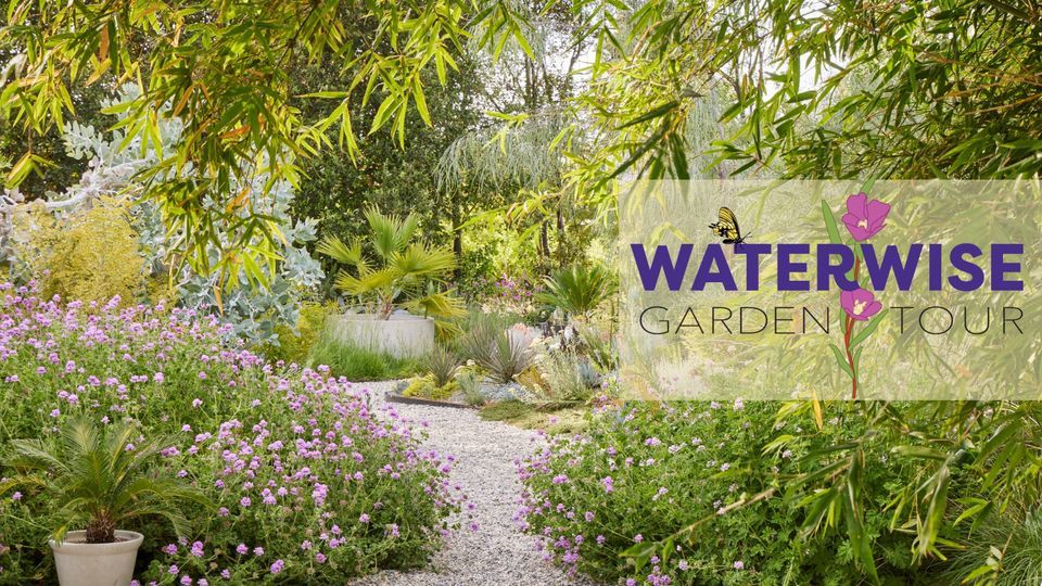 Waterwise Garden Tour at The Ruth Bancroft Garden (Garden & Nursery ...