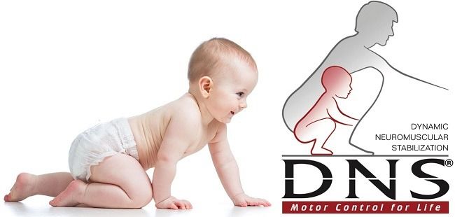 Dynamic Neuromuscular Stabilization Pediatrics course Part 2 | Designed ...