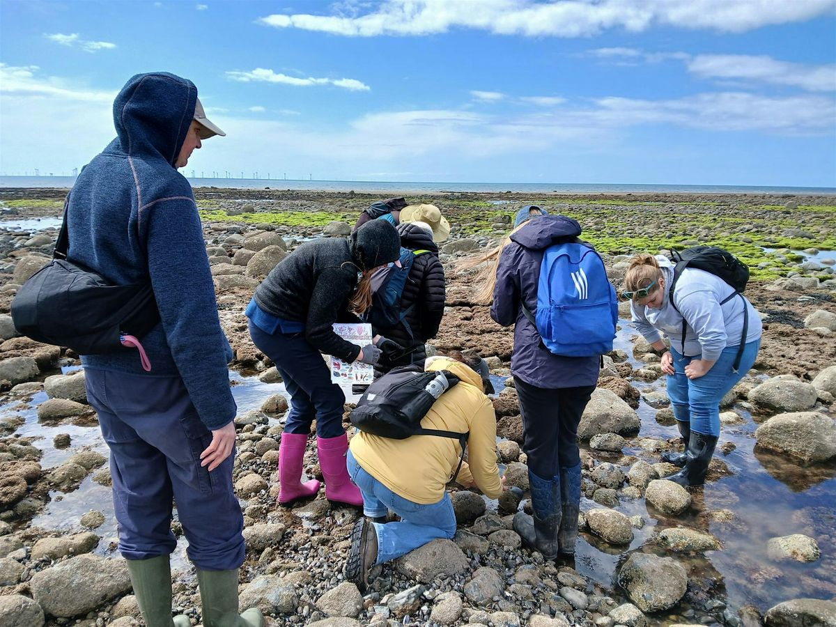 Marine Survey at Earnse bay, Barrow-in-Furness on 11th April, 2026
