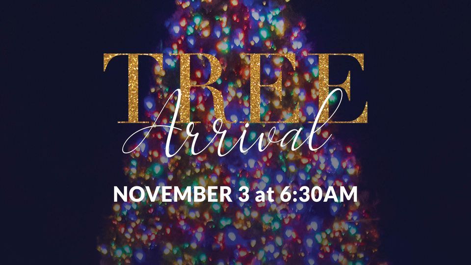 2023 TREE ARRIVAL | Outlets North Phoenix, Sun City West, AZ | November ...