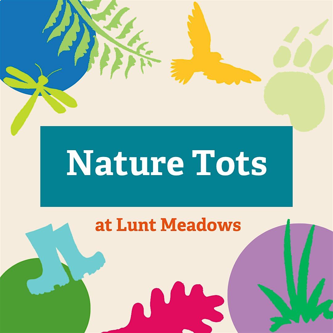 Nature Tots at Lunt Meadows at Lunt Meadows, Liverpool on 15th December ...