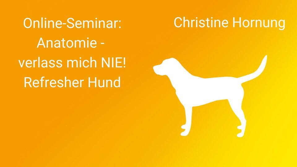 Online-Seminar: Refresher Anatomie Hund at Tiertherapie ...