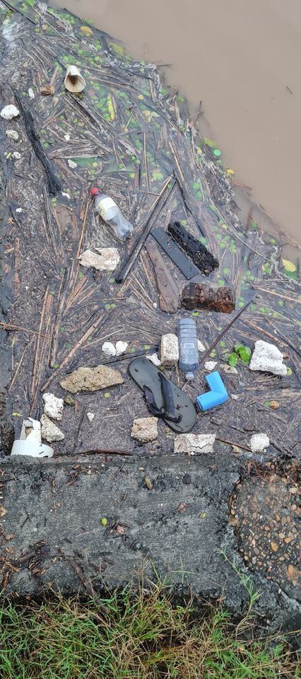 Brisbane River Beach Clean up | DogTap Brisbane | May 21, 2022