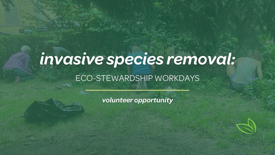 Invasive Species Removal | Aman Park at Aman Park, Grandville on 21st ...