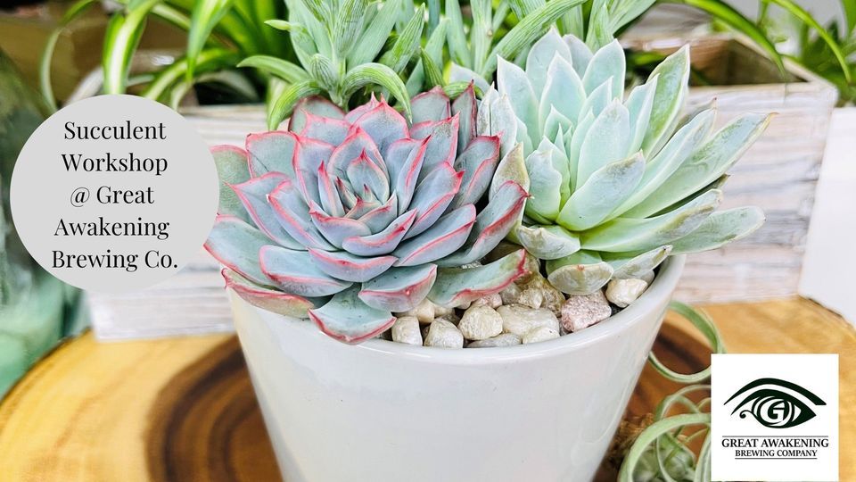 Succulent Workshop at Great Awakening Brewery | Great Awakening Brewing Company, Westfield, MA ...