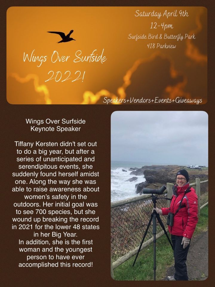 Wings Over Surfside at Surfside Tx Bird and Butterfly Trail, Angleton ...