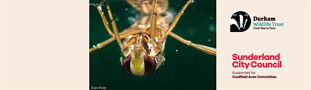 Seasons of Connection – Nature, Community & Wellbeing: Pond life! at ...