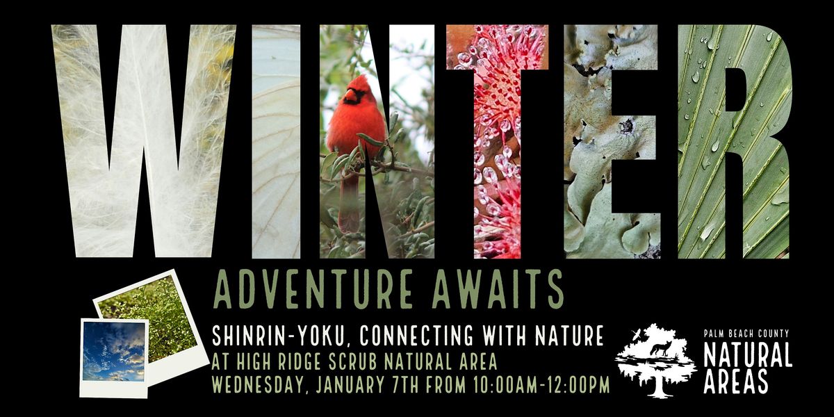 Adventure Awaits - Shin-rin Yoku (Nature Bathing Hike) @ High Ridge ...