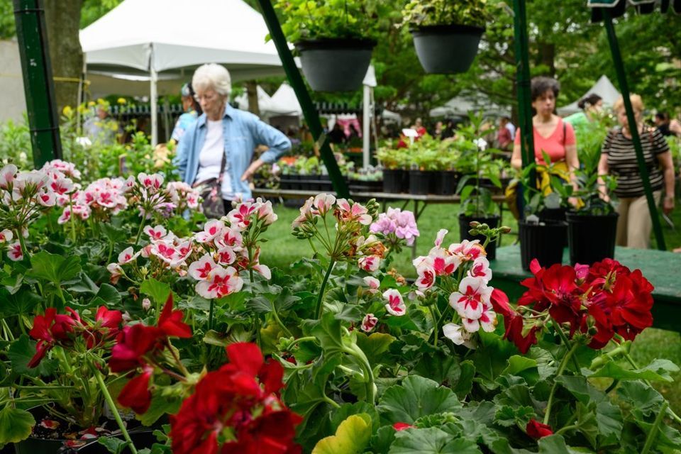 Flower Mart 2022 at Washington National Cathedral on 6th May, 2022