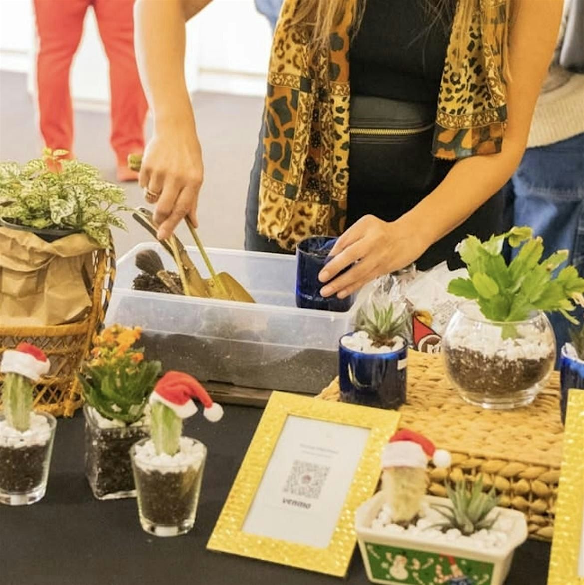 Glass Cactus Plant Pop up at Juice Wine Bar! at Juice Wine Bar ...