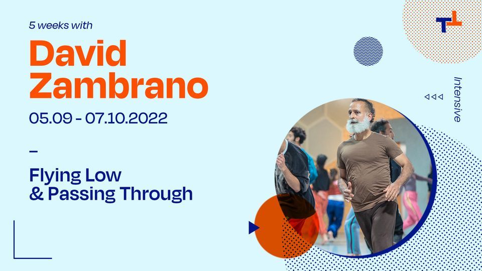 5 WEEKS INTENSIVE OF FLYING LOW & PASSING THROUGH by David Zambrano ...
