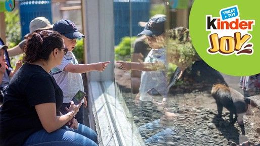 Spring Fling Presented By Kinder Joy® at Stone Zoo, Malden on 16th ...