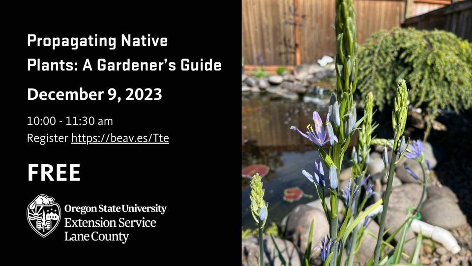 Propagating Native Plants: A Gardeners Guide at Oregon State University ...