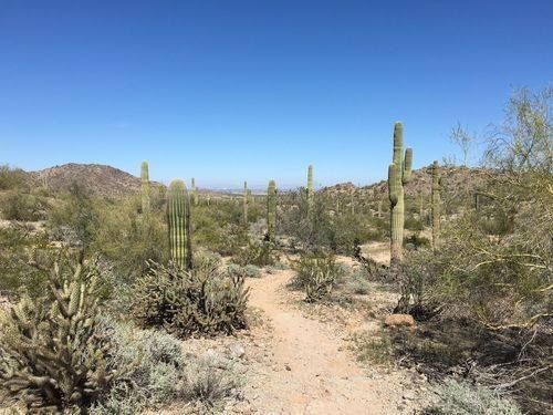 Estrella Hedgehog Hustle at Estrella Mountain Park - Competitive Track ...