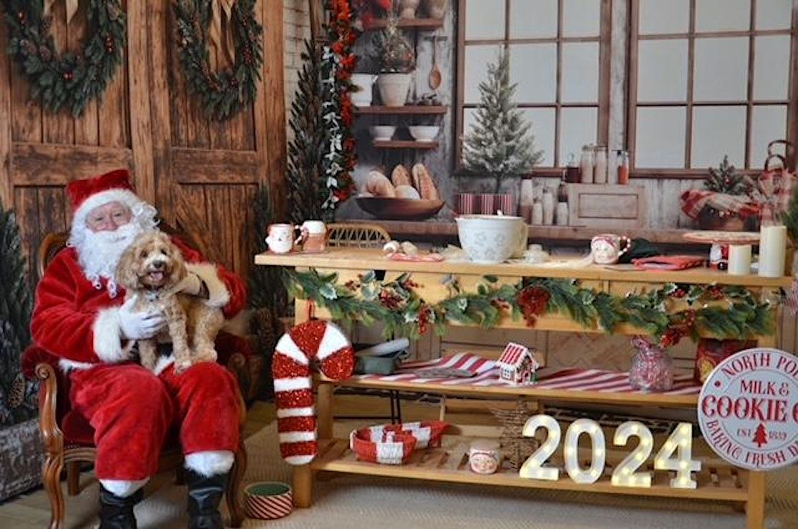 2025 SANTA PHOTOS - CRONULLA RSL (December 23rd) at Cronulla RSL Club ...