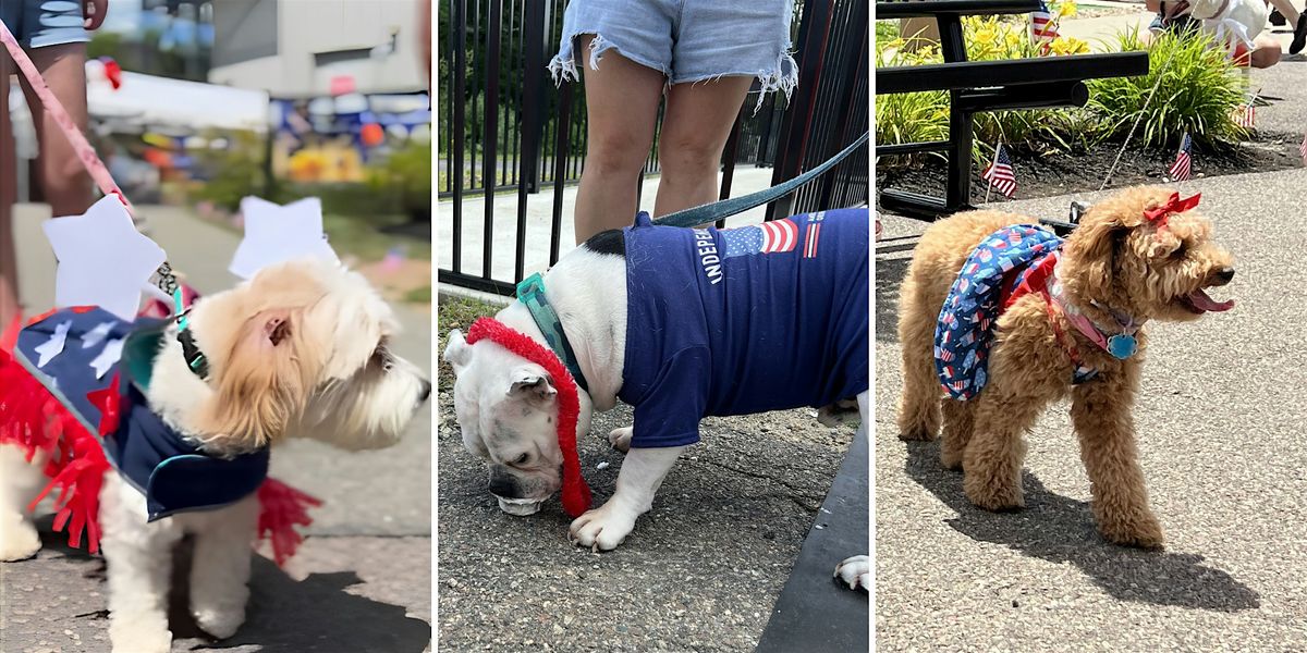Patriotic Dog Parade at Starland’s 4th of July Weekend Celebration at ...