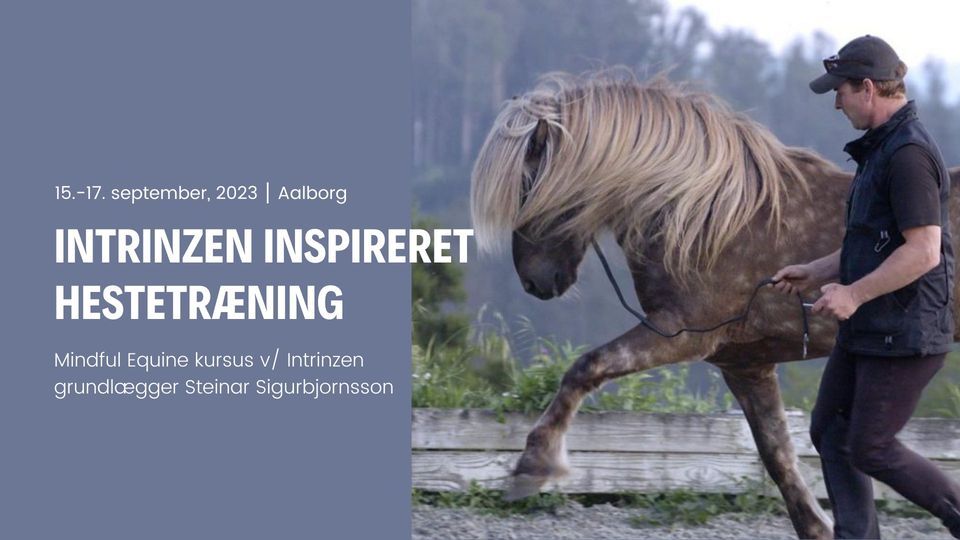 Intrinzen inspireret kursus v/ Steinar Sigurbjornsson | Stald Rygaard ...