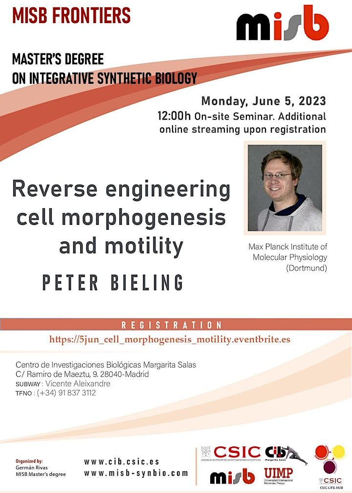 Reverse engineering cell morphogenesis and motility | Centro de ...