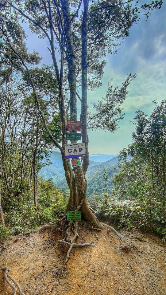 Day Hike Gunung Gap-Ulu Semangkuk 21 May 2023 | Fraser Hill, Damansara ...