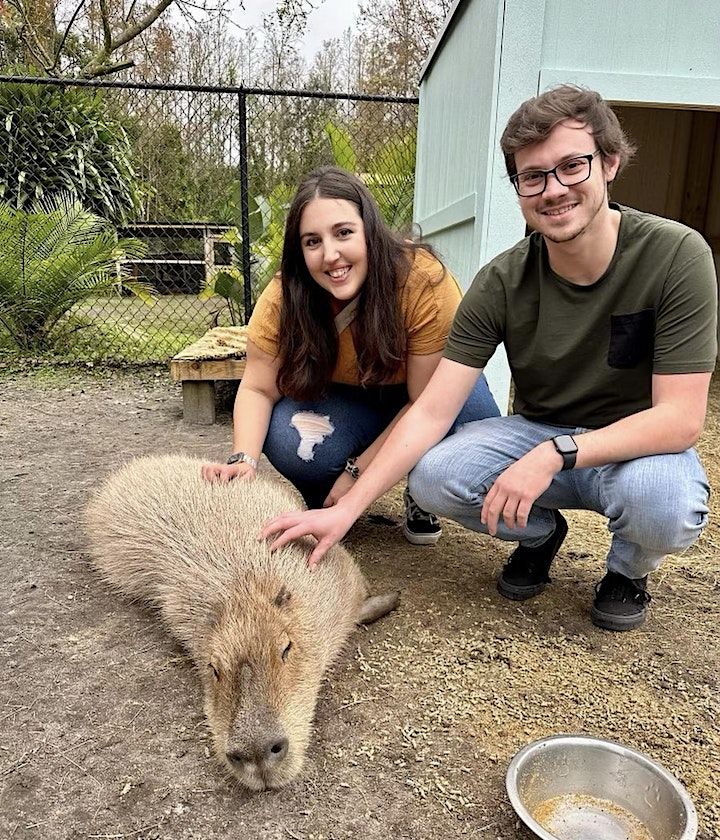 Capybaras at Sunset at Amazing Animals Inc, SAINT CLOUD on 25th March, 2023