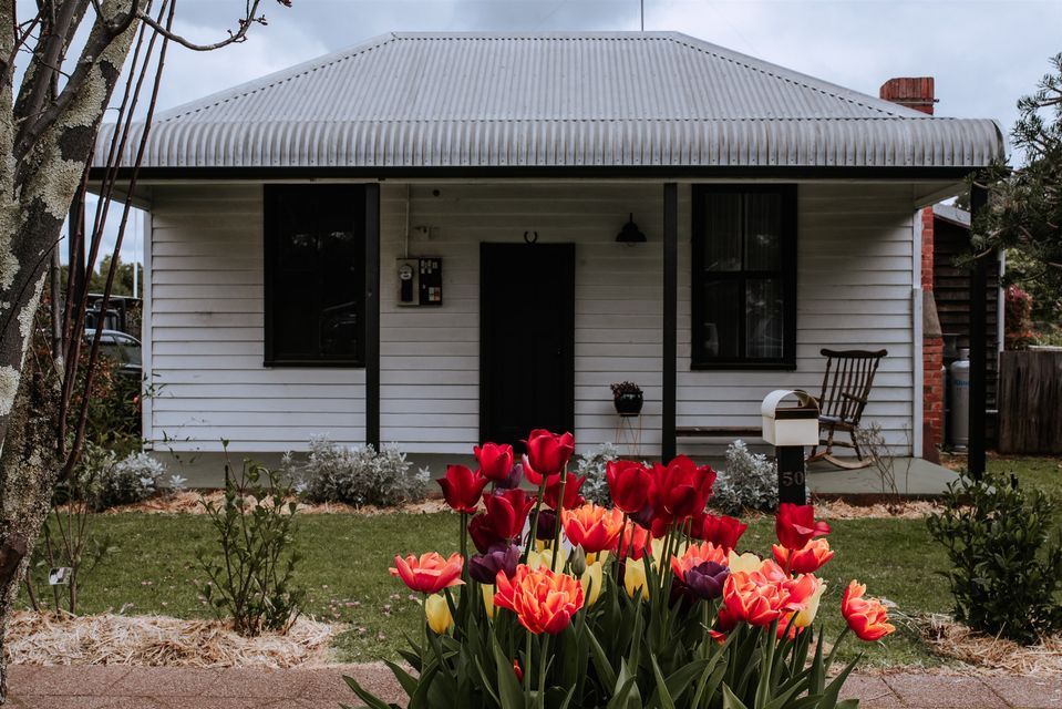 Live Lighter Nannup Flower & Garden Festival 2022 at Nannup Town Hall ...