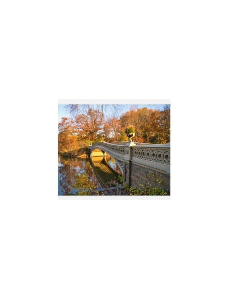 Graceful Bridge - Advanced Care Planning, with Lauralee Kelly, and ...