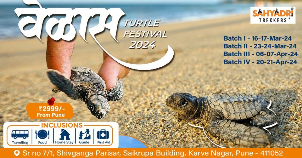 Velas Turtle Festival 2024 at Velas Beach, Shrivardhan on 15th March, 2024