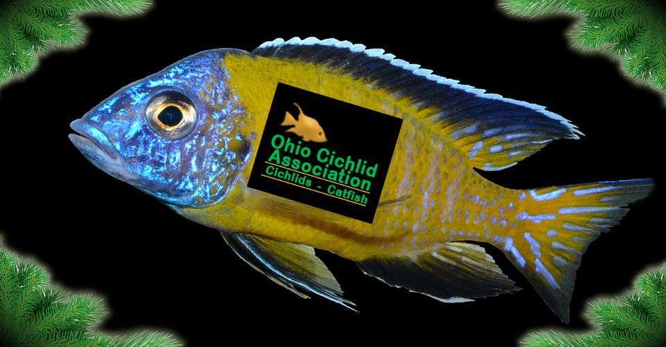 2022 Ohio Cichlid Association Extravaganza at Best Western Plus ...