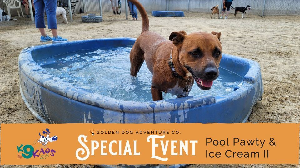 SPECIAL EVENT: Pool & Ice Cream Pawty at K9 Kaos II | K9 Kaos Dog Care ...