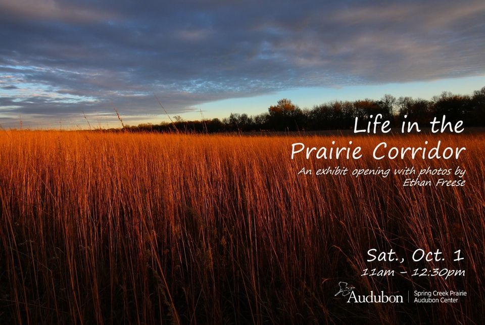 LIFE IN THE PRAIRIE CORRIDOR: an exhibit opening with photos by Ethan ...