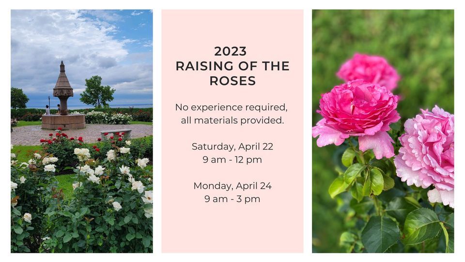 2023 Raising of the Roses - Saturday at Duluth Rose Garden on 22nd ...