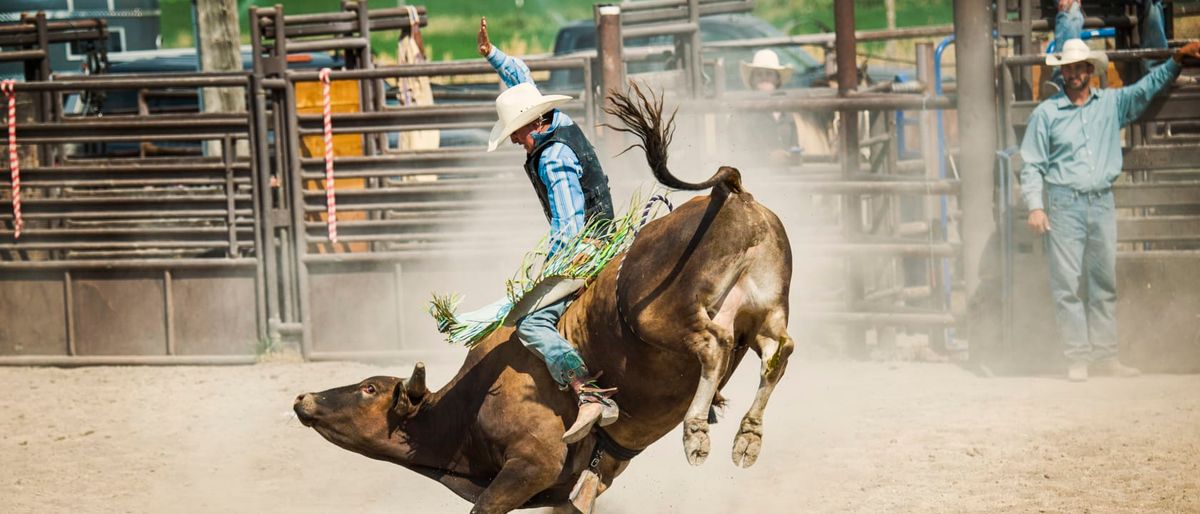 Cody Nite Rodeo | Stampede Park - Cody | June 3 to July 4