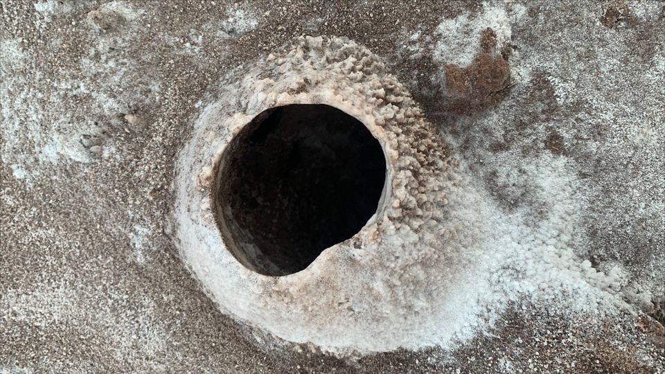 Resonancias / IMAGINALE 2023 / Rafi Martin & Julika Mayer at ...