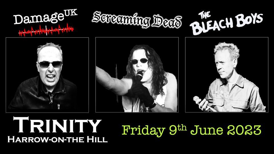 Punk Special with Screaming Dead and Damage UK plus The Bleach Boys at ...