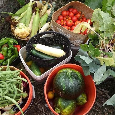 What To Do With Too Much: A Food Saving & Storing Class at Tacoma ...
