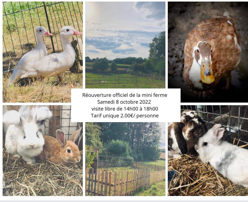 Réouverture officiel de la mini ferme ? at Hirson 02500, Fourmies on ...
