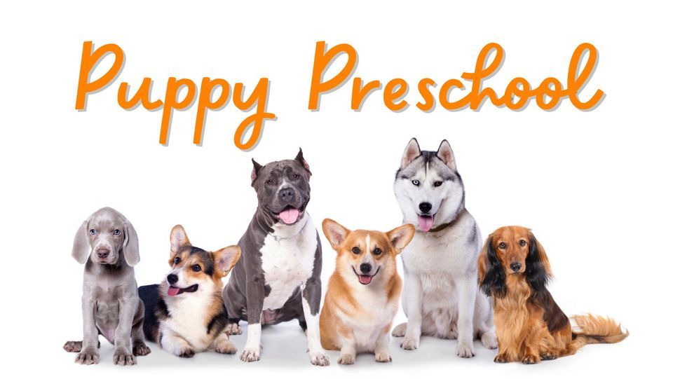 Puppy Preschool at Dogtopia Milwaukee at Dogtopia of Milwaukee East ...